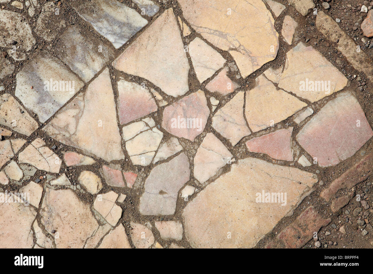 Collis palatium hi-res stock photography and images - Alamy