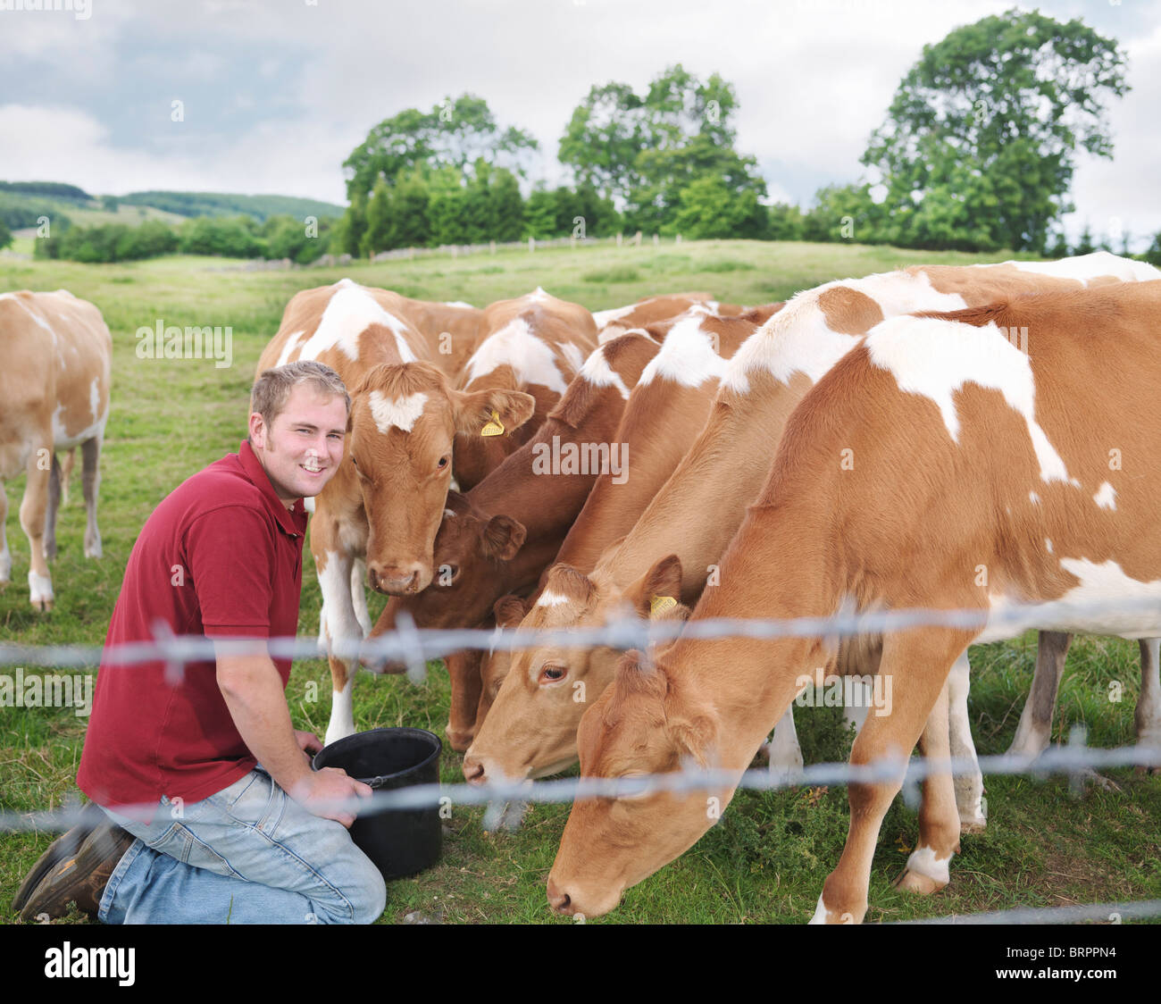 Farmer Feeding Animal High Resolution Stock Photography and Images - Alamy