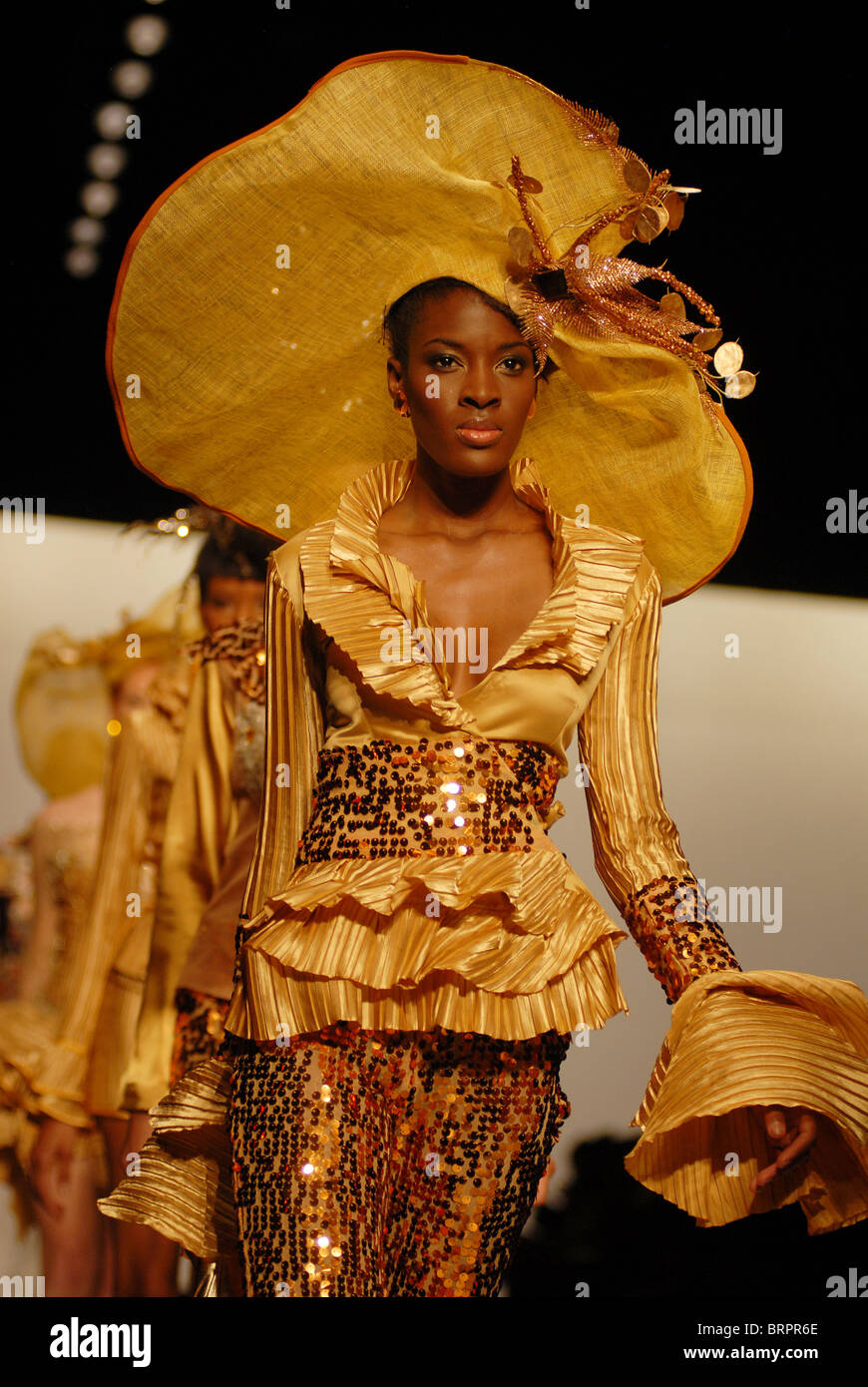 A model during Arise Africa Fashion Week, June 2009, in Johannesburg ...