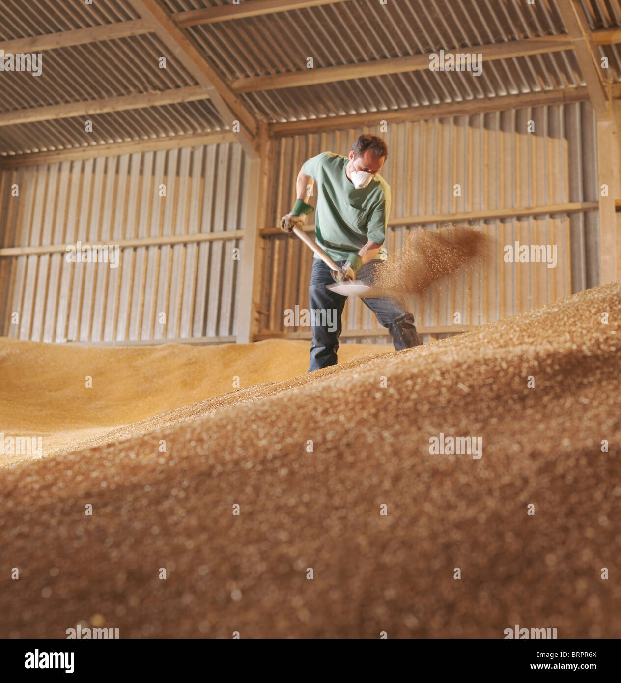 Farmer Grain High Resolution Stock Photography and Images - Alamy