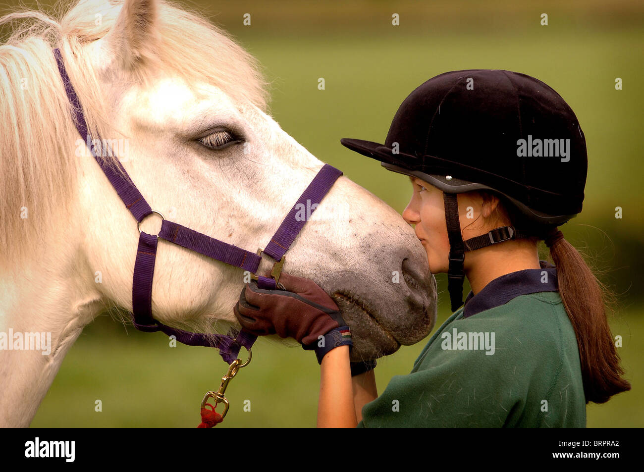 Horse kiss hi-res stock photography and images - Alamy