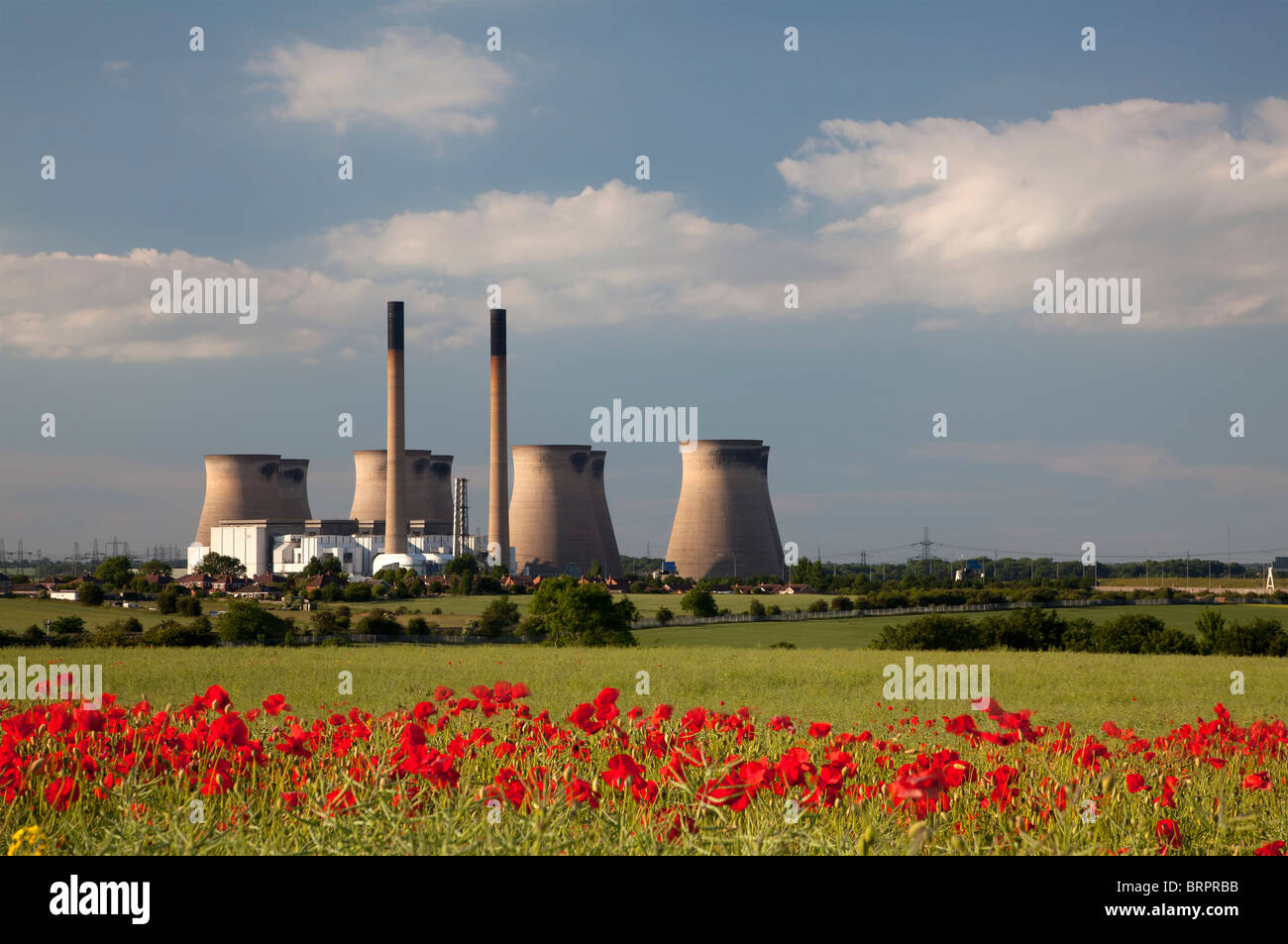 Poppy field in front of Ferrybridge Powerstation Stock Photo - Alamy