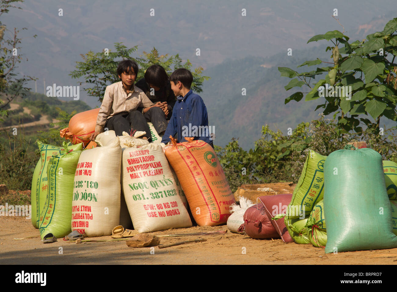 Rice Bags High Resolution Stock Photography and Images - Alamy