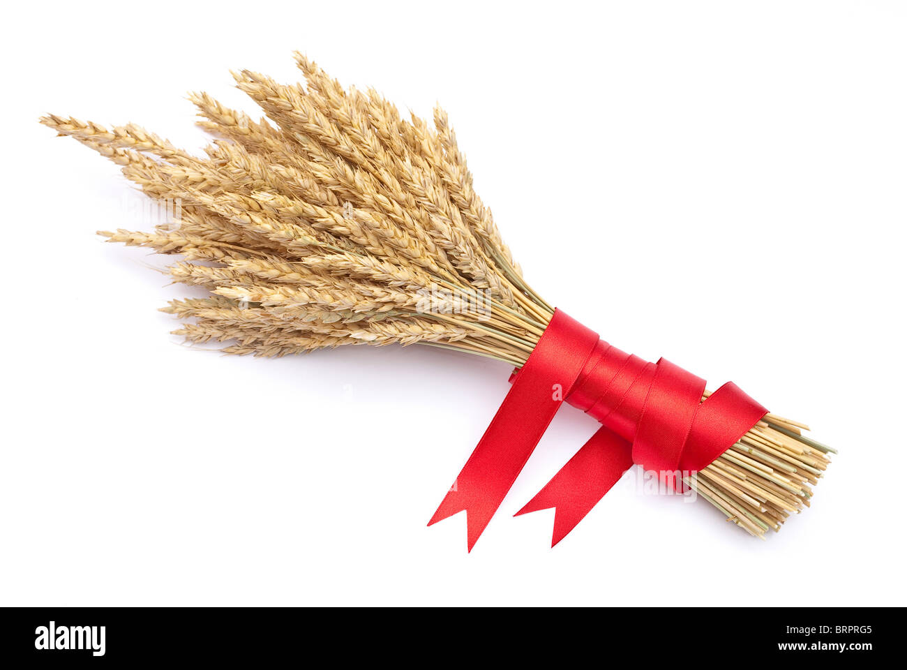 Ears of wheat tied with red ribbon Stock Photo - Alamy