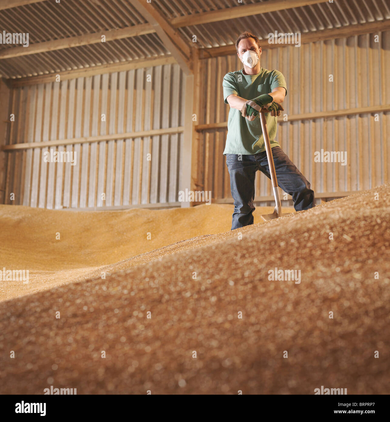 Farm crop store hi-res stock photography and images - Alamy