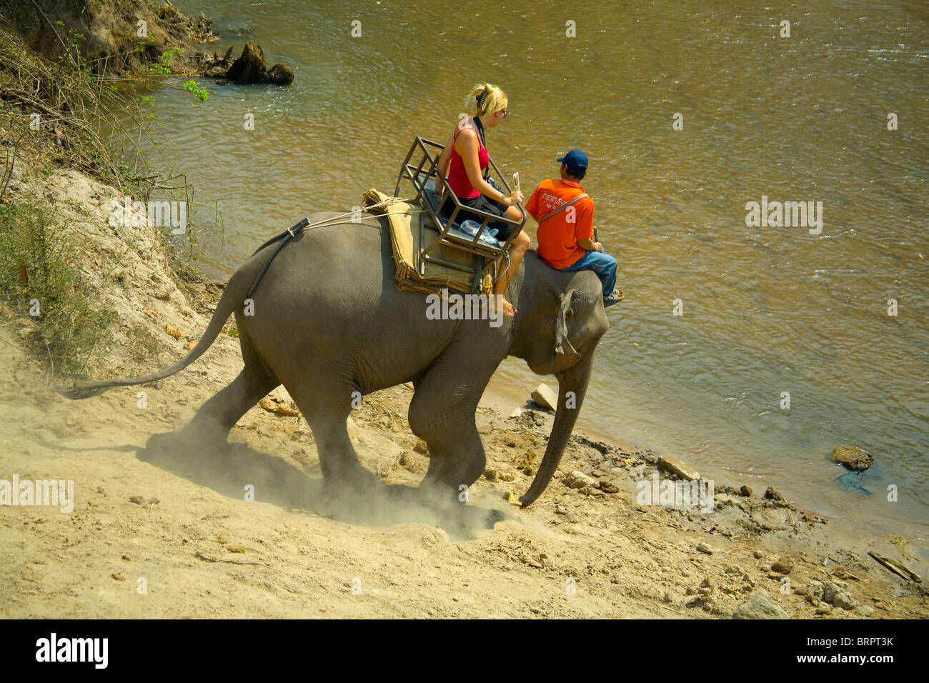 Girl riding an elephant hi-res stock photography and images - Alamy