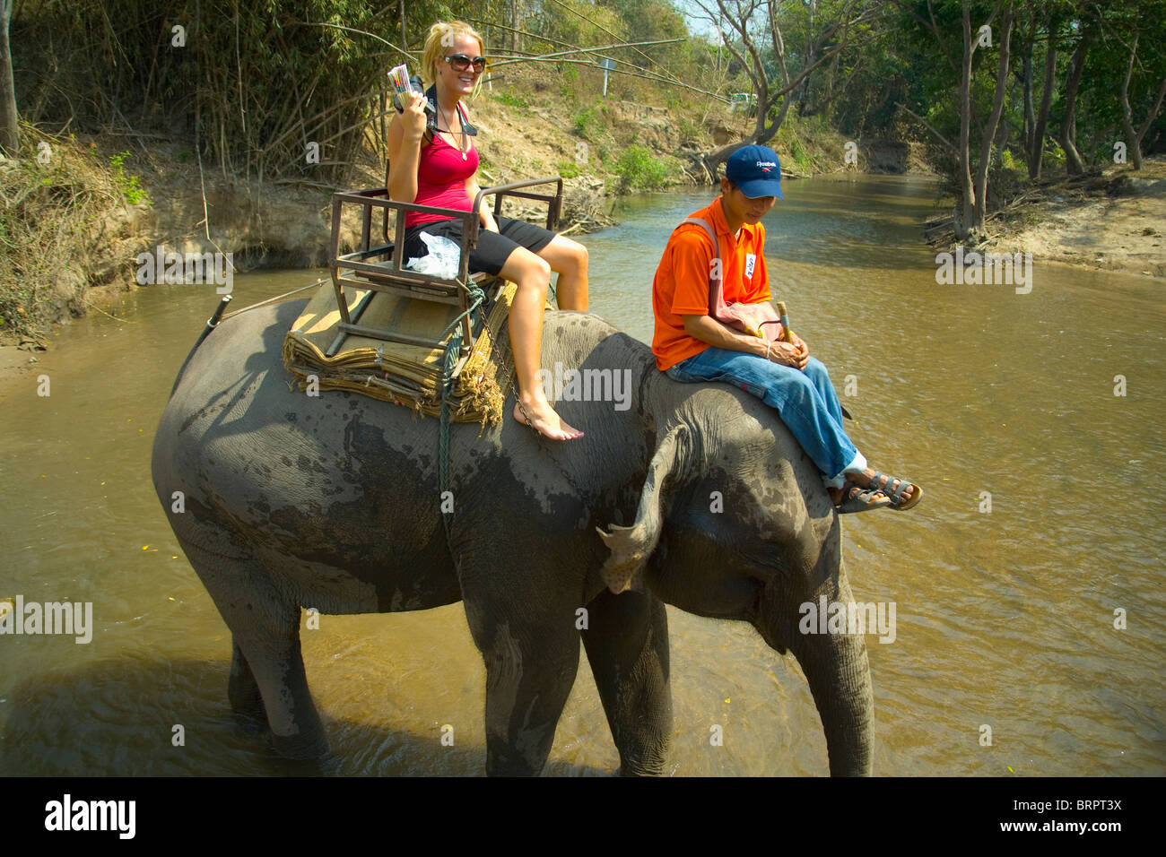 Girl riding an elephant hi-res stock photography and images - Alamy