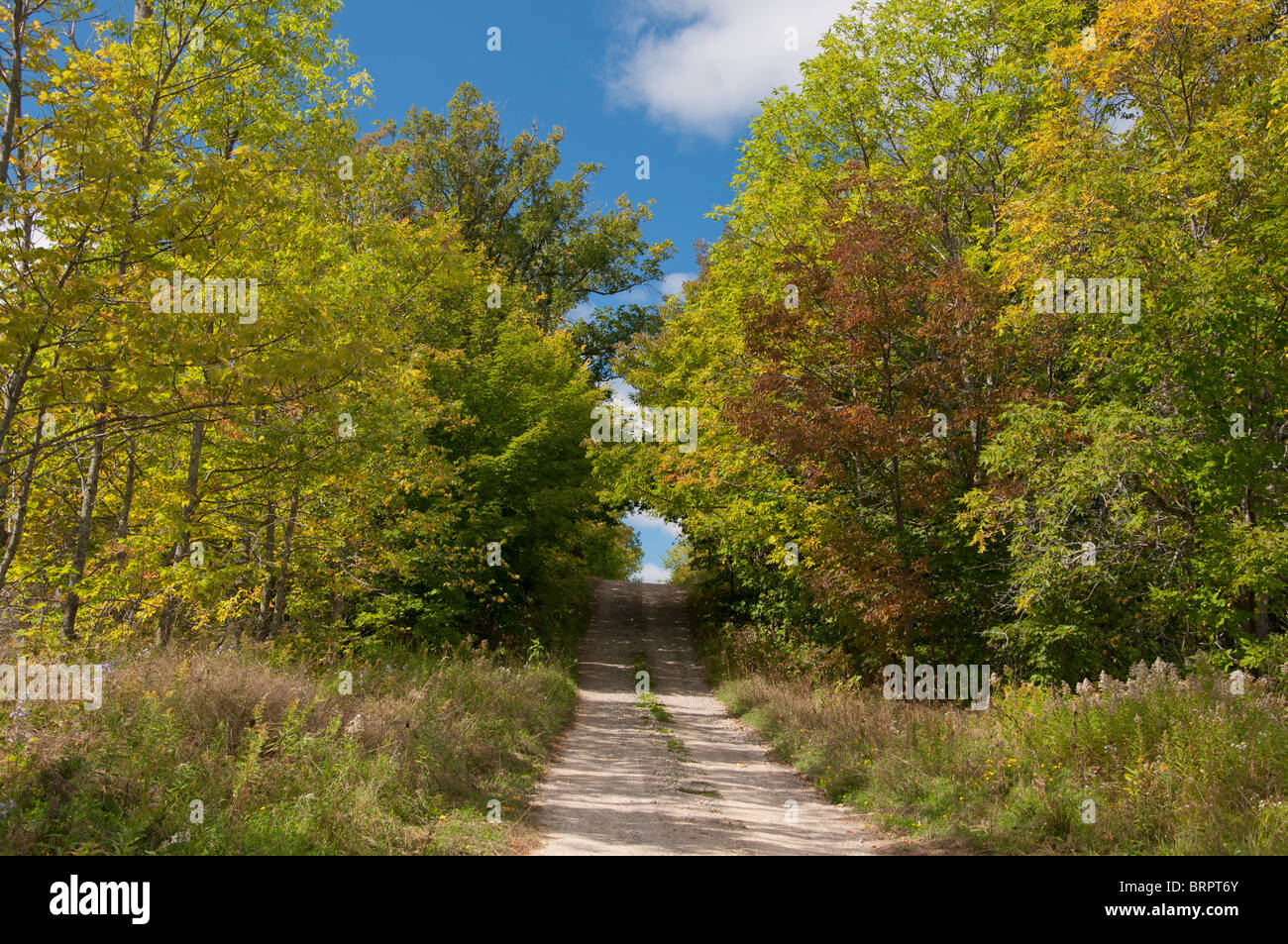 A rural lane on Manitoulin Island Stock Photo - Alamy