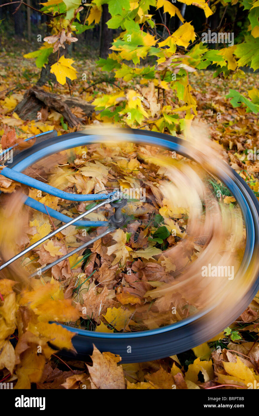Wheel spinning around Stock Photo - Alamy