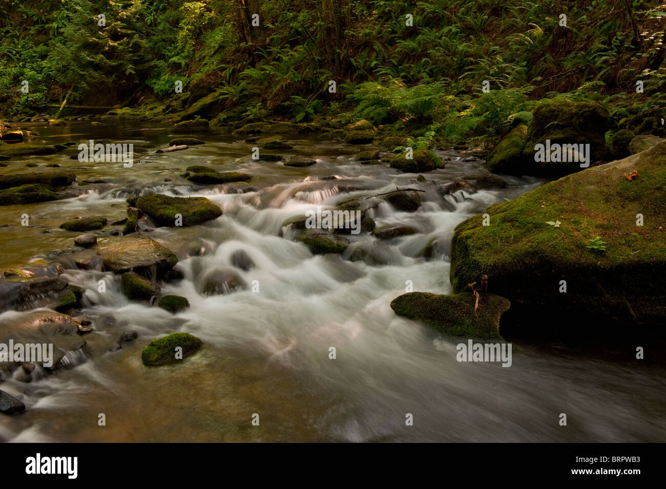 Whatcom creek in fall hi-res stock photography and images - Alamy