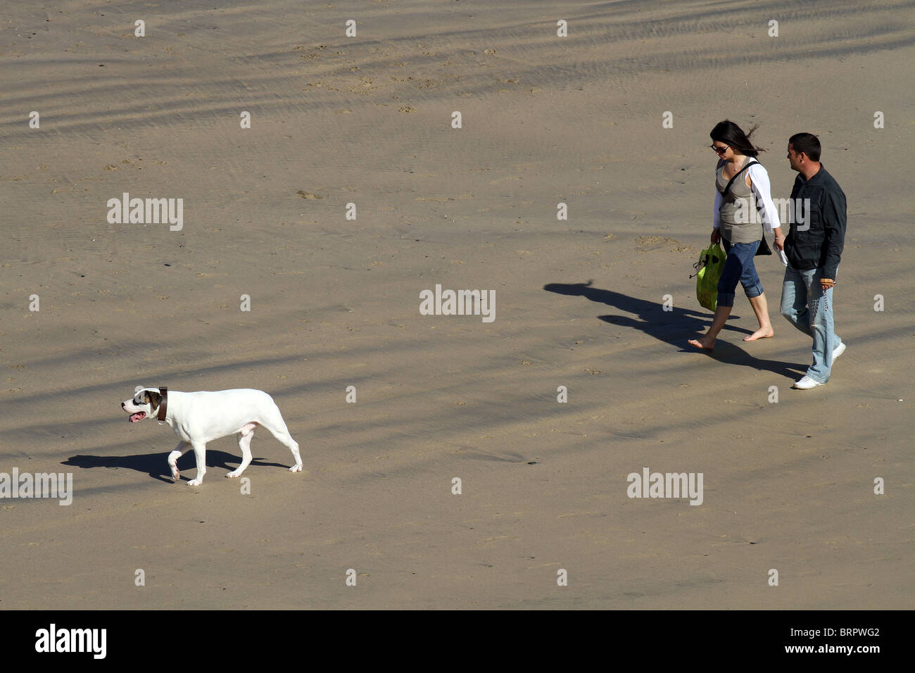 Couple dog beach walk hi-res stock photography and images - Alamy