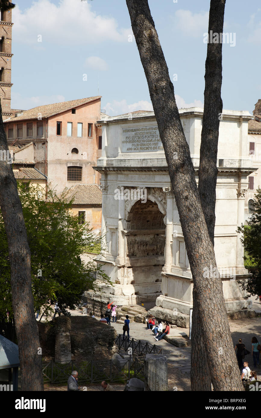 Stone Pine Tree and Arch of Titus at Palatine Hill, Rome, Italy Stock ...