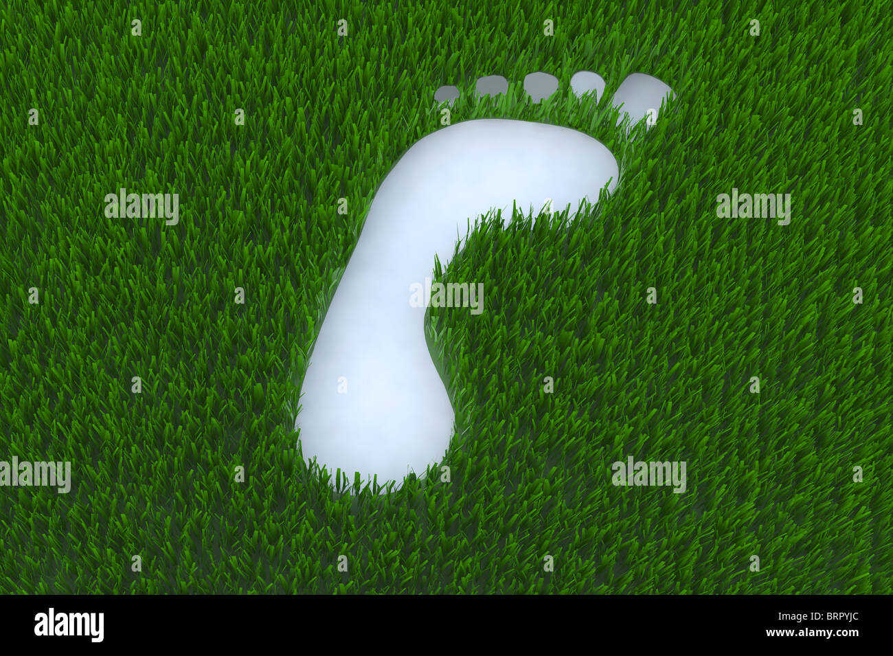 footprint on grass 3d illustration Stock Photo - Alamy