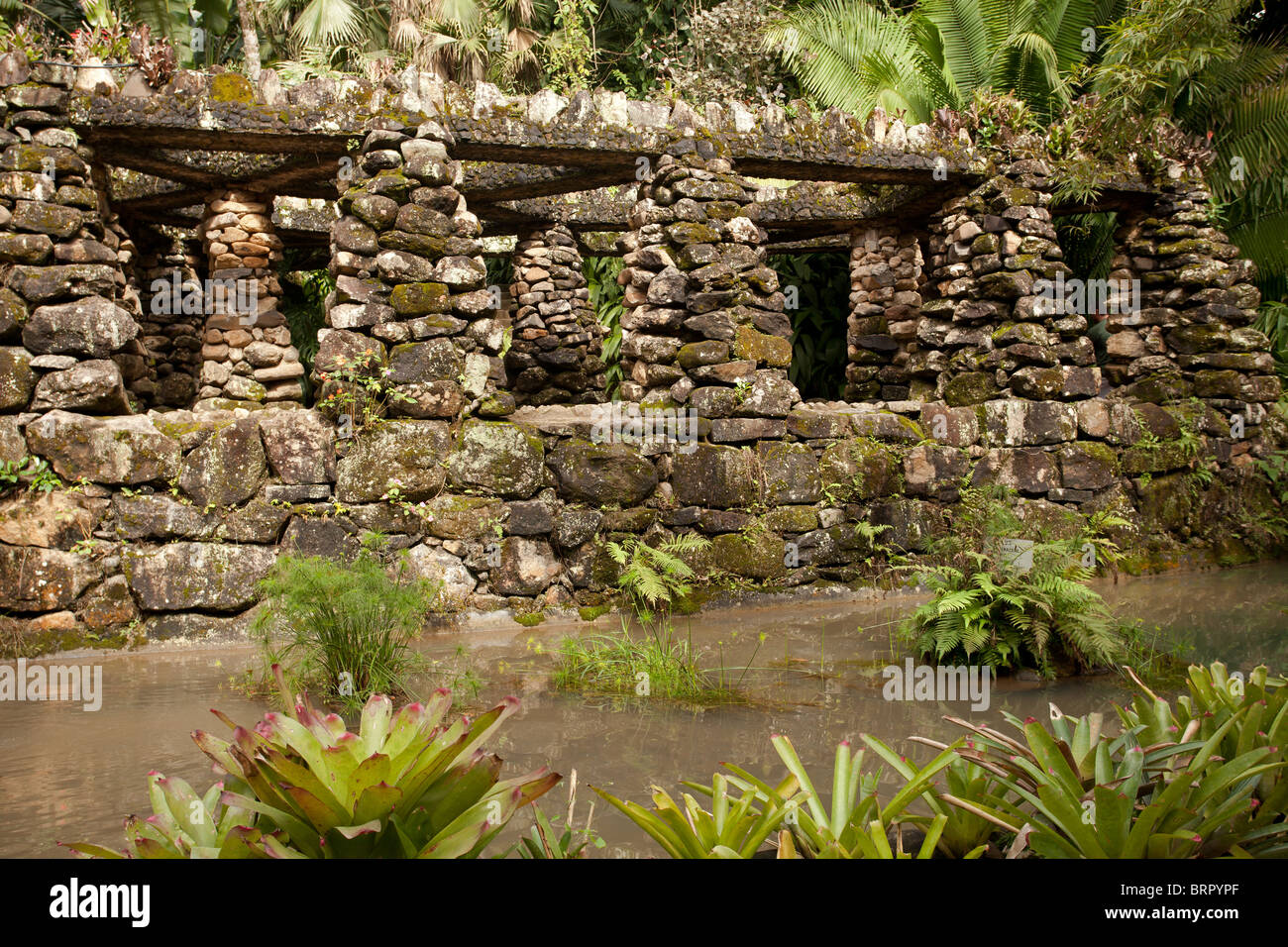 Rio de Janeiro: Botanical Gardens Stock Photo - Alamy
