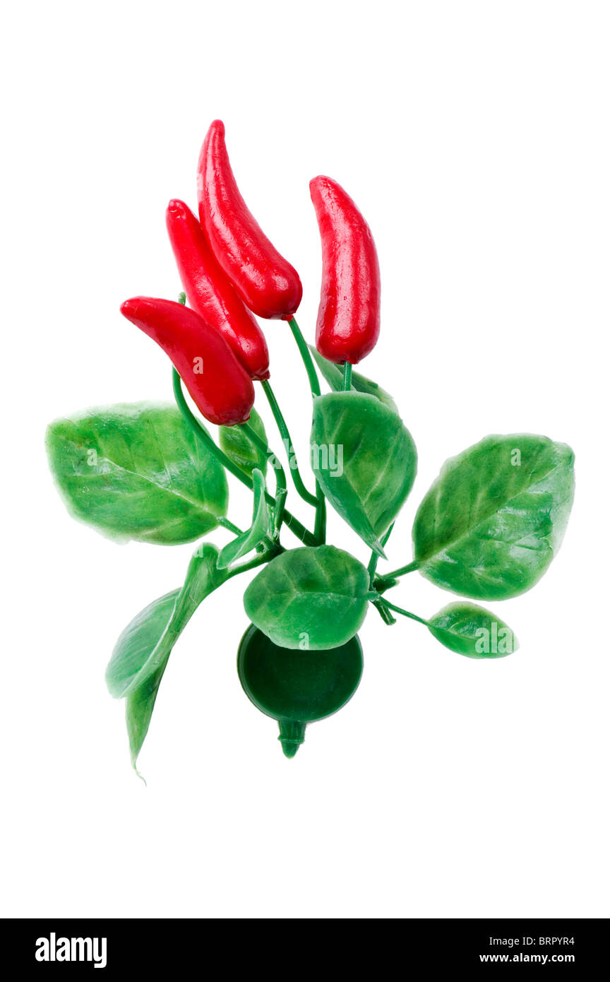 object on white - pepper magnet close up Stock Photo - Alamy