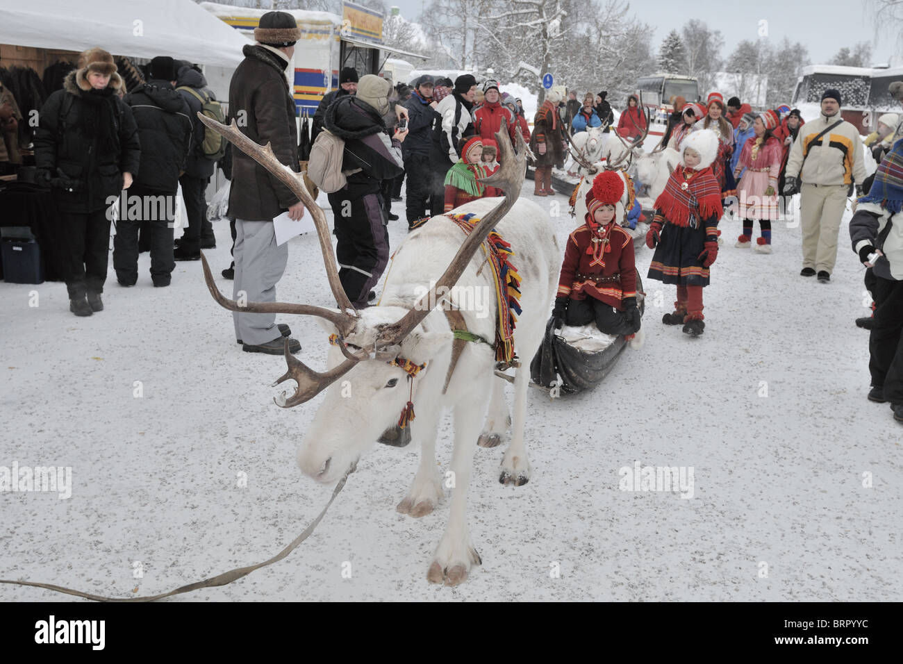 Lapp sami family hi-res stock photography and images - Alamy