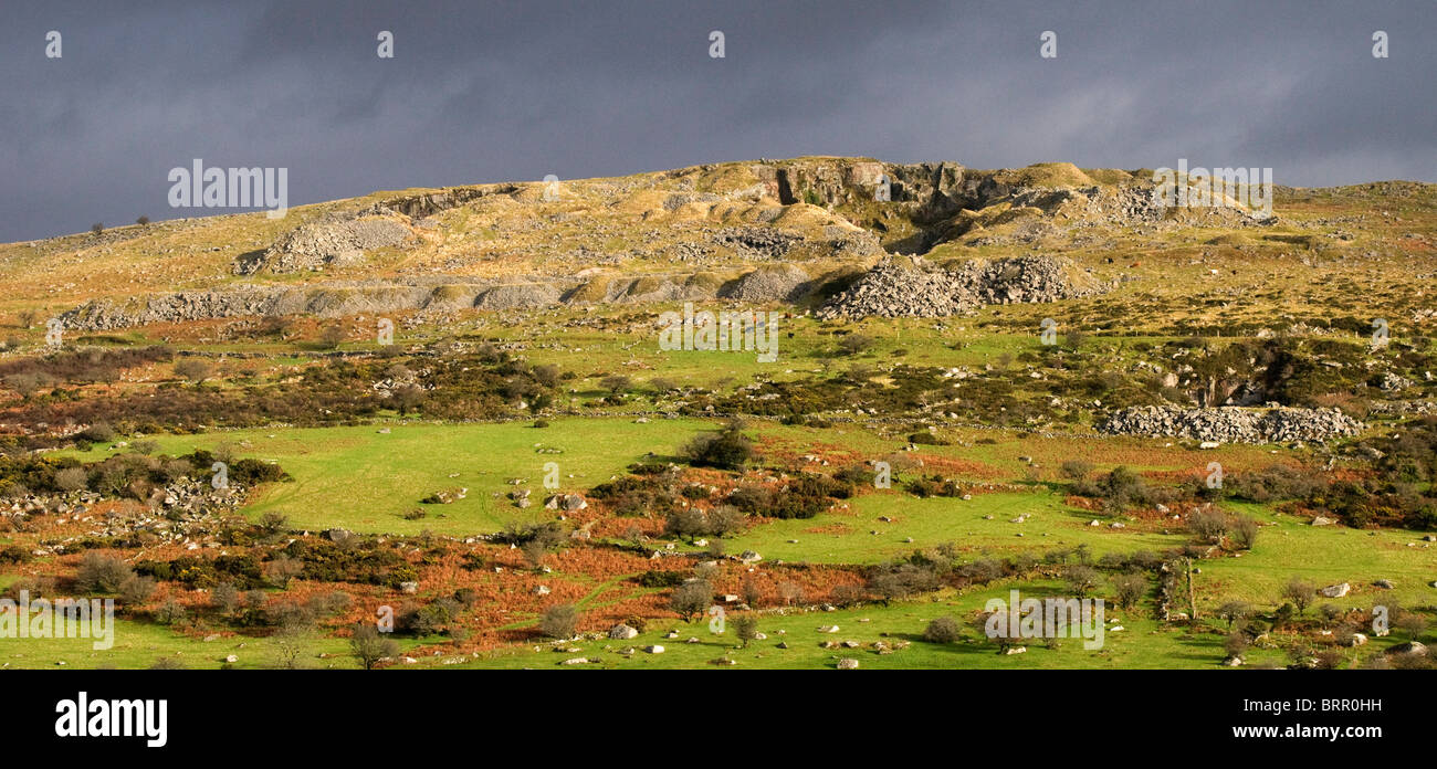 Swell Tor and quarry spoil heaps on Dartmoor, Devon UK Stock Photo - Alamy