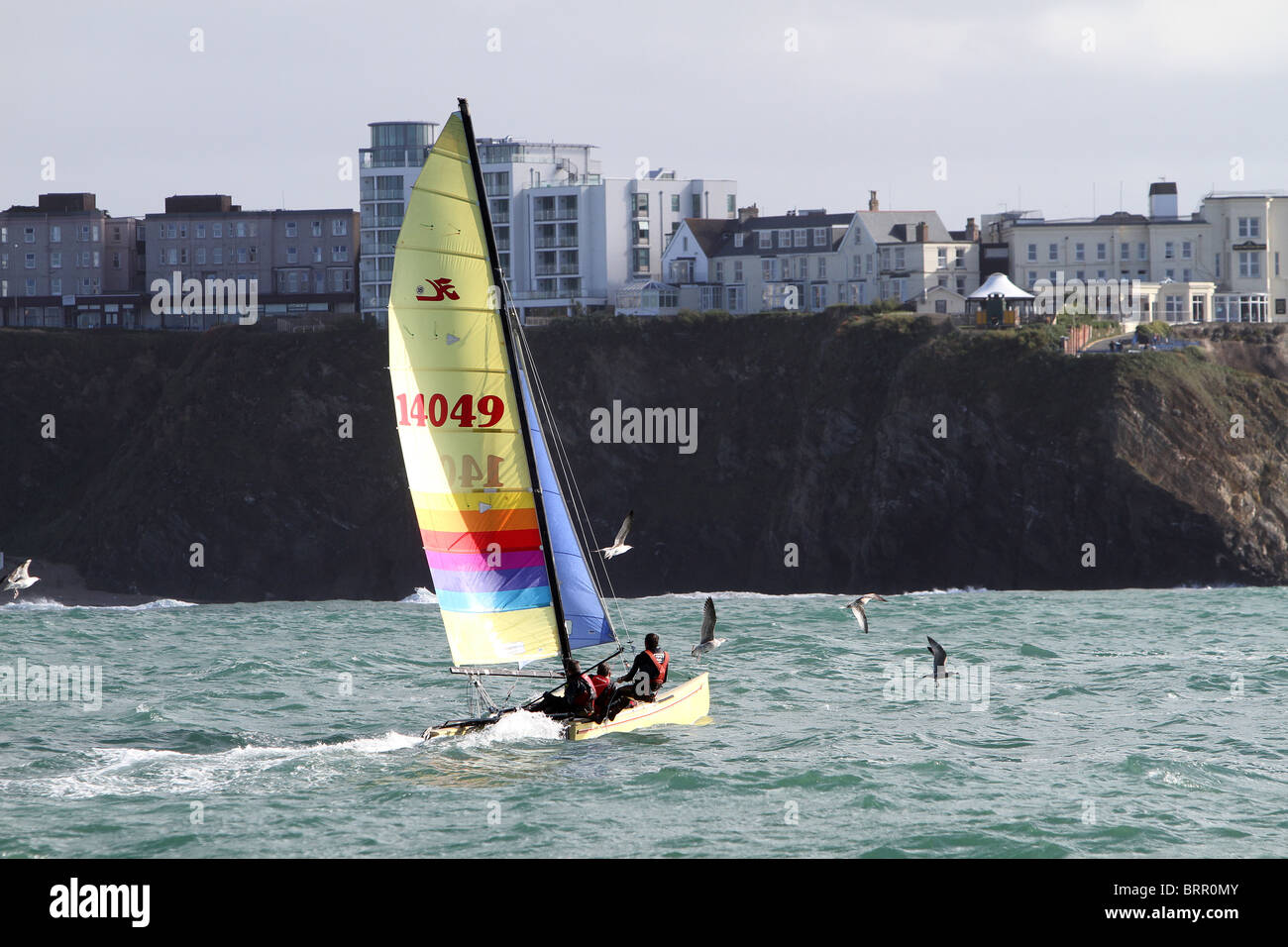 Sailing in a Hobie catamaran Stock Photo - Alamy