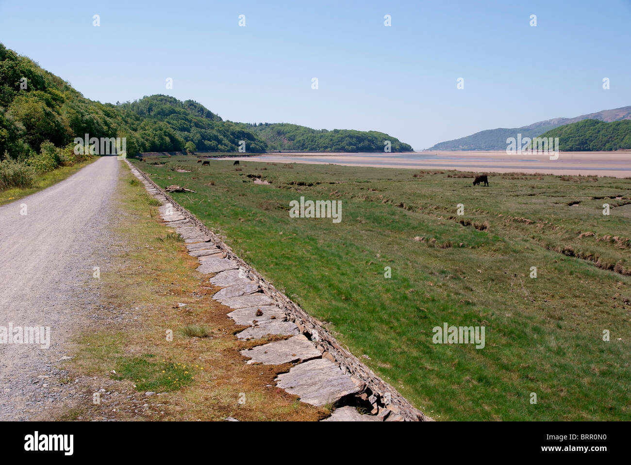 The Mawddach Estuary and Trail Stock Photo - Alamy