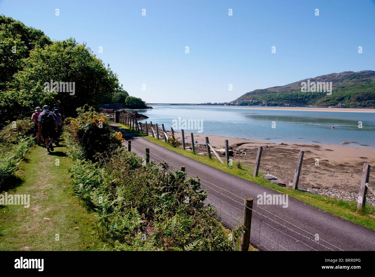 The Mawddach Estuary and Trail Stock Photo - Alamy