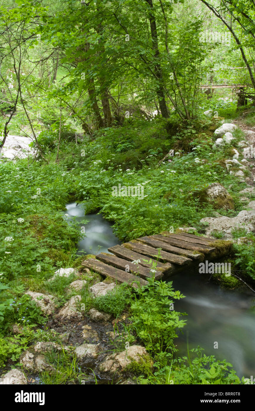 Bridge [river crossing] stream hi-res stock photography and images - Alamy