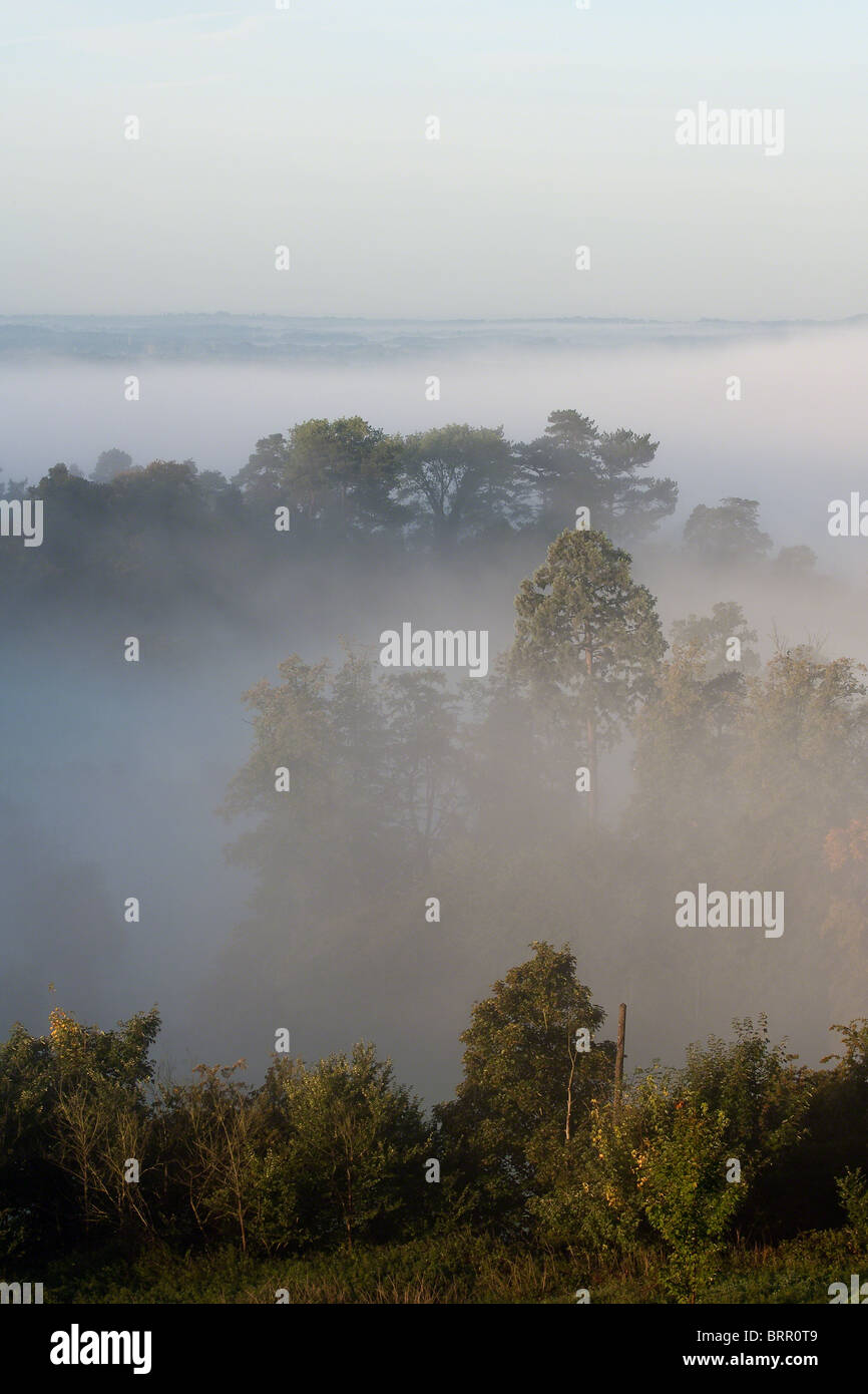 Banstead woods hi-res stock photography and images - Alamy