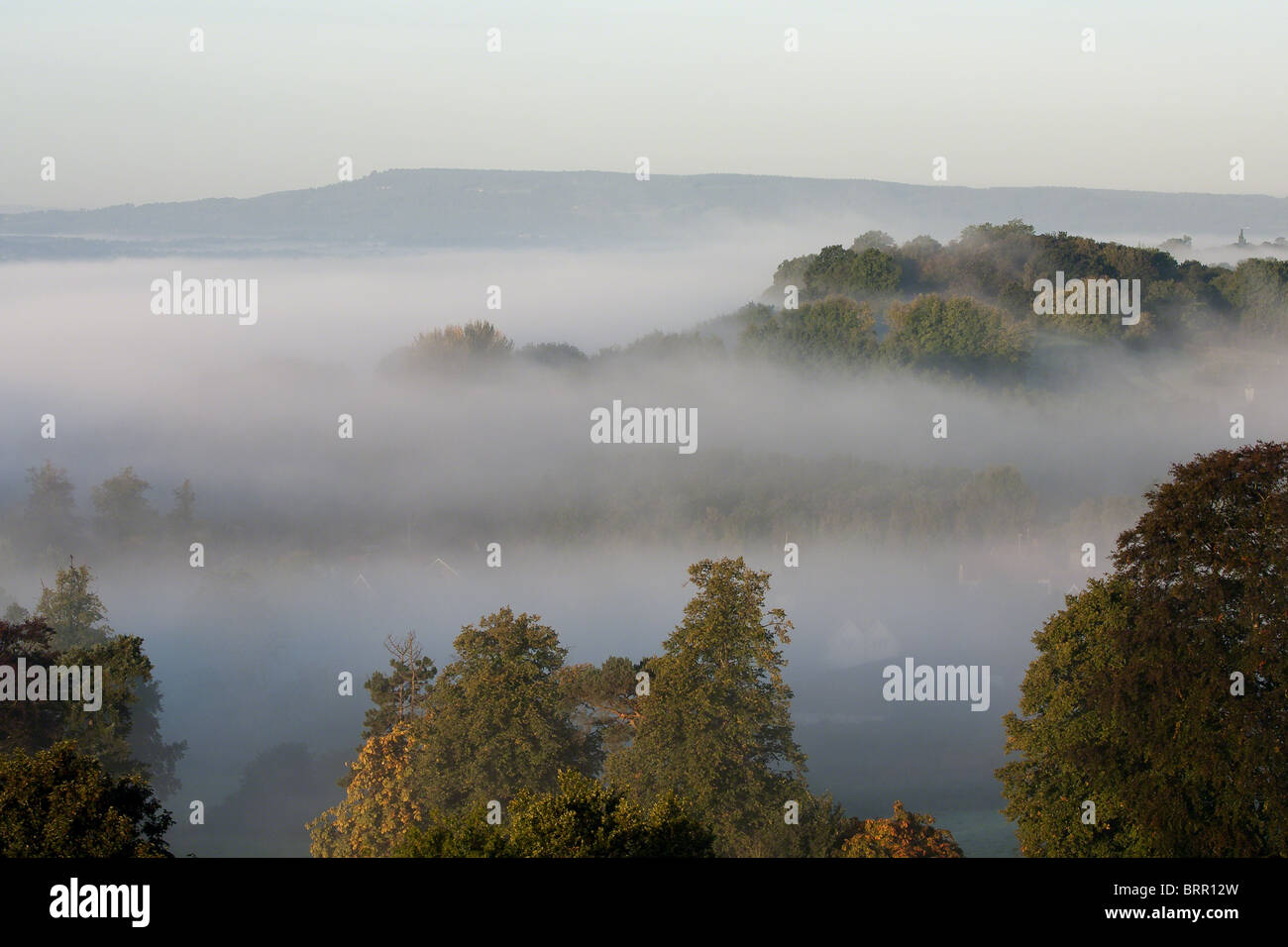 Banstead woods hi-res stock photography and images - Alamy