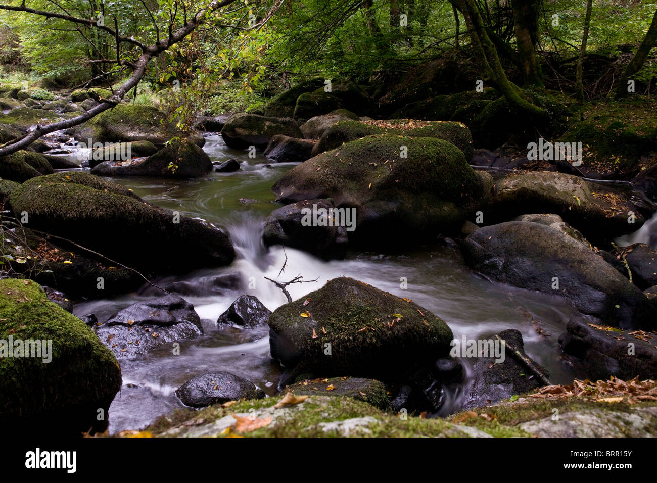 Water flows over rocks hi-res stock photography and images - Alamy