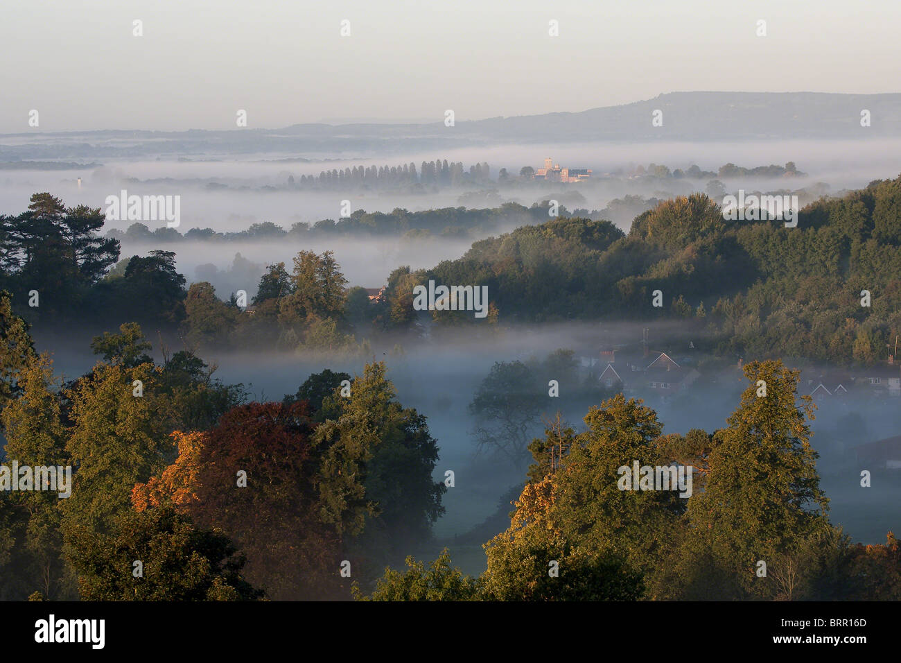 Banstead woods hi-res stock photography and images - Alamy