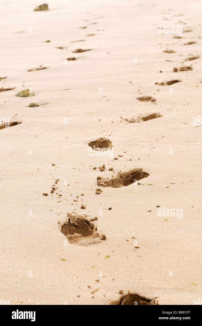 Stock photo of footsteps in the sand Stock Photo - Alamy