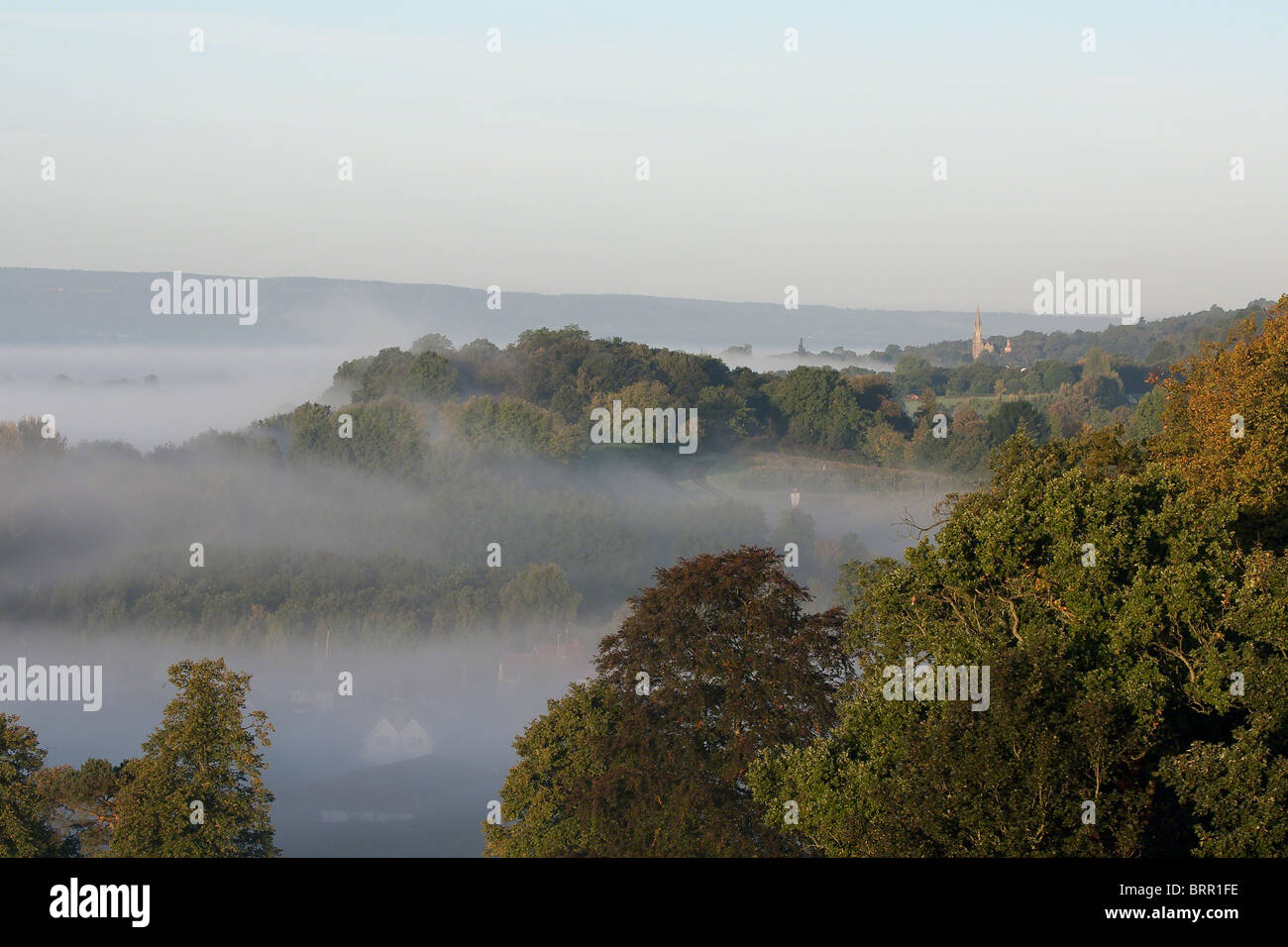 Banstead woods hi-res stock photography and images - Alamy