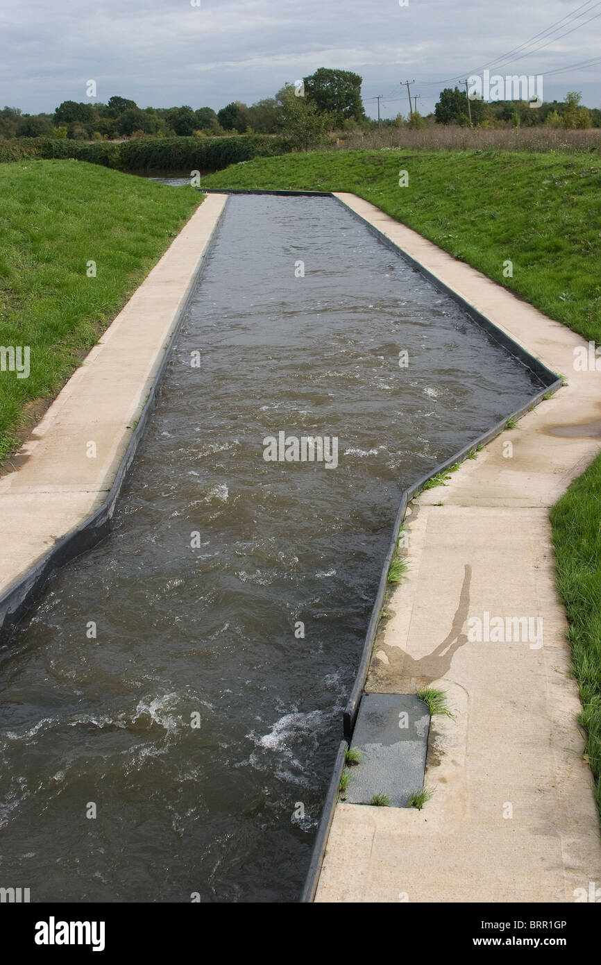 canoe fish pass waterway navigation sport river Stock Photo - Alamy