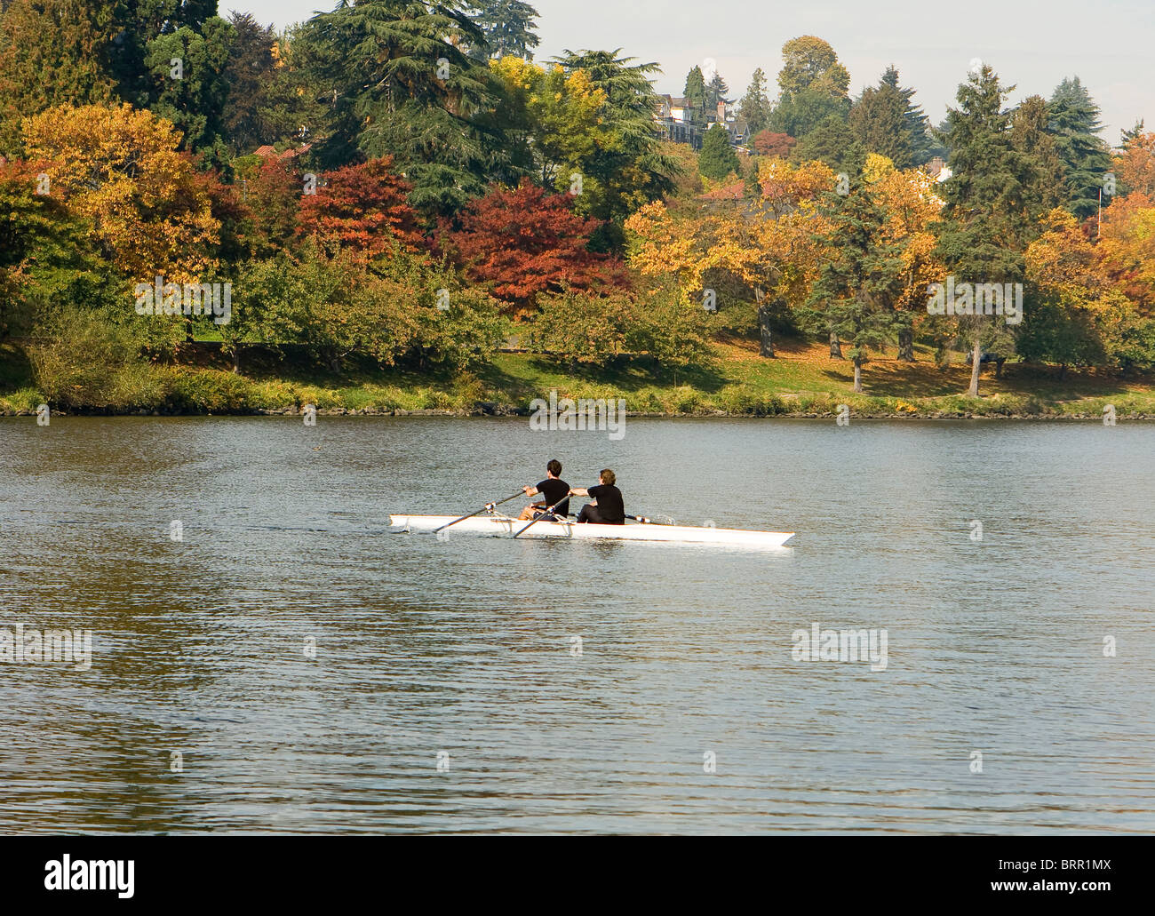 A racing shell with two people rowing with the full color of autumn ...