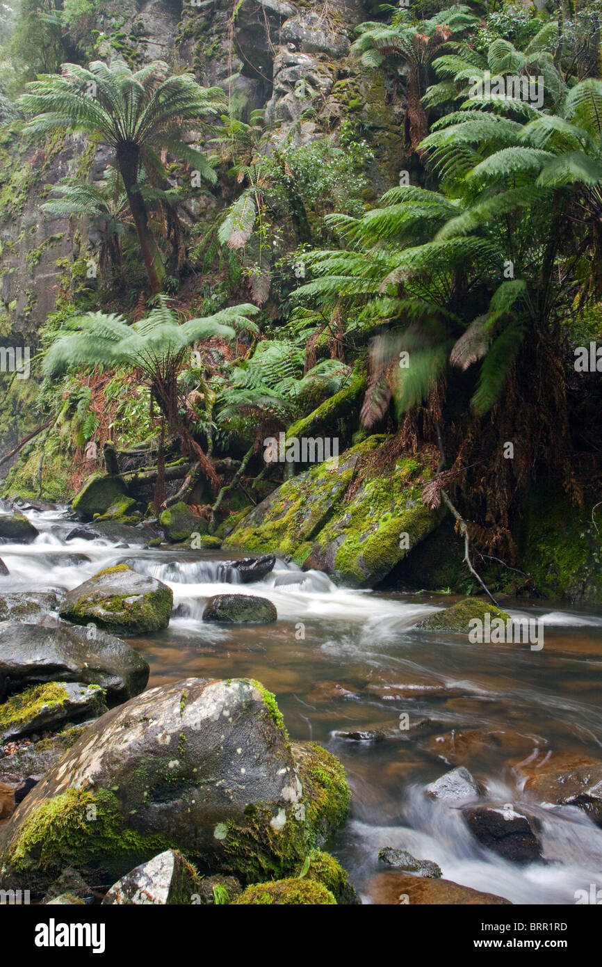 Seascape Images by Craig Bourke Stock Photo - Alamy