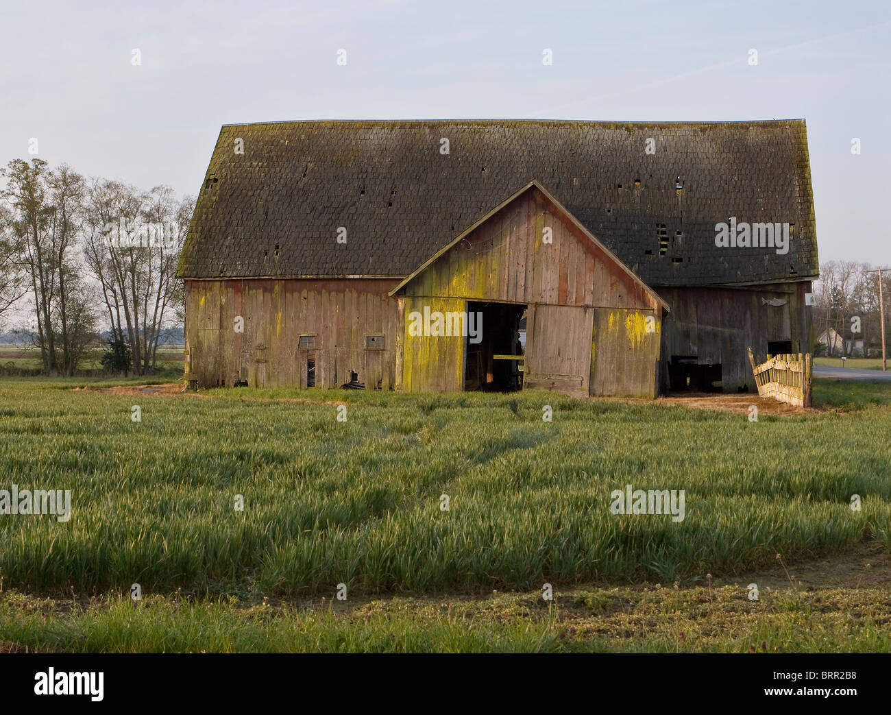 Old Barn With Field Stock Photo - Alamy