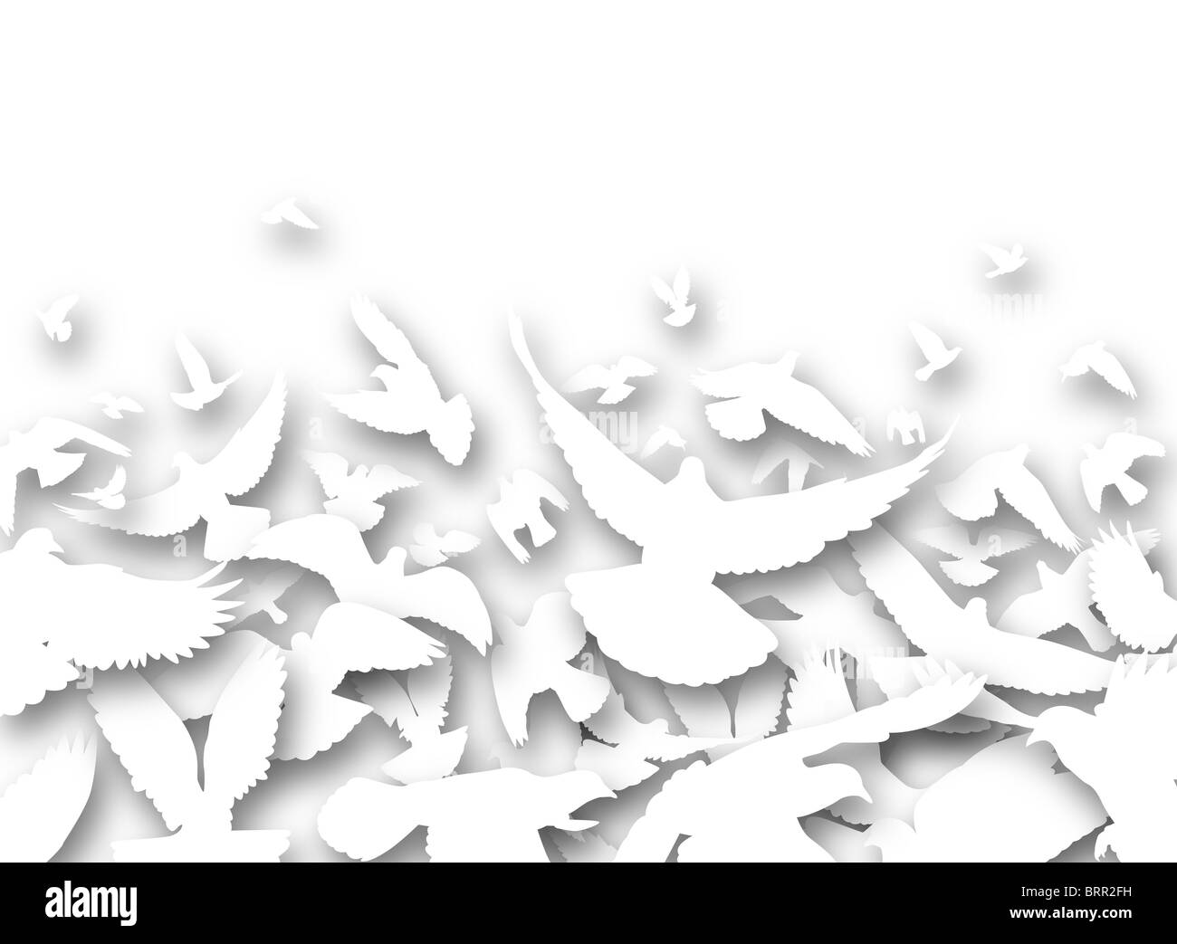 Illustrated flock Black and White Stock Photos & Images - Alamy