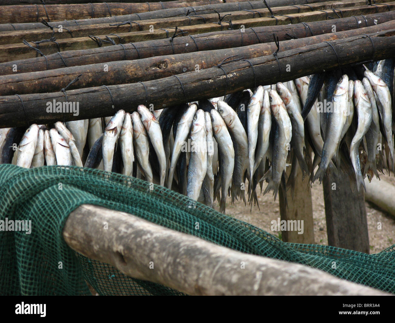 Fish biltong hi-res stock photography and images - Alamy