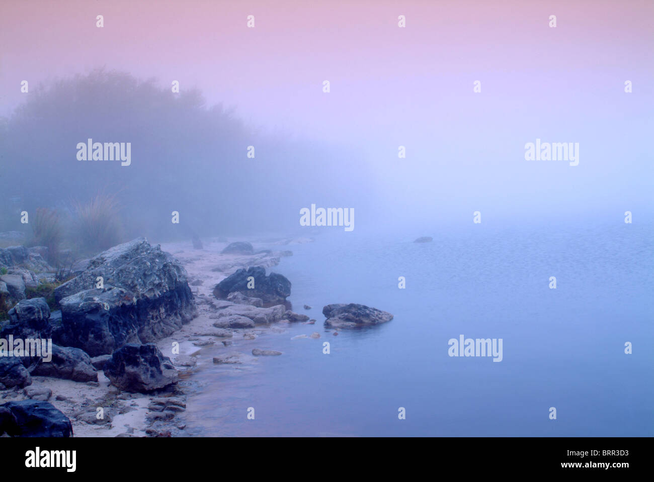 Morning mist over the lake Stock Photo - Alamy
