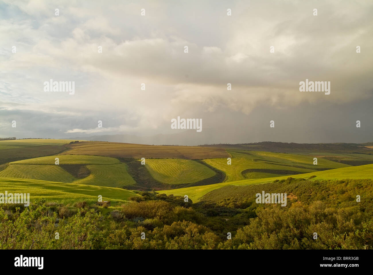 Fertile farmlands growing crops hi-res stock photography and images - Alamy