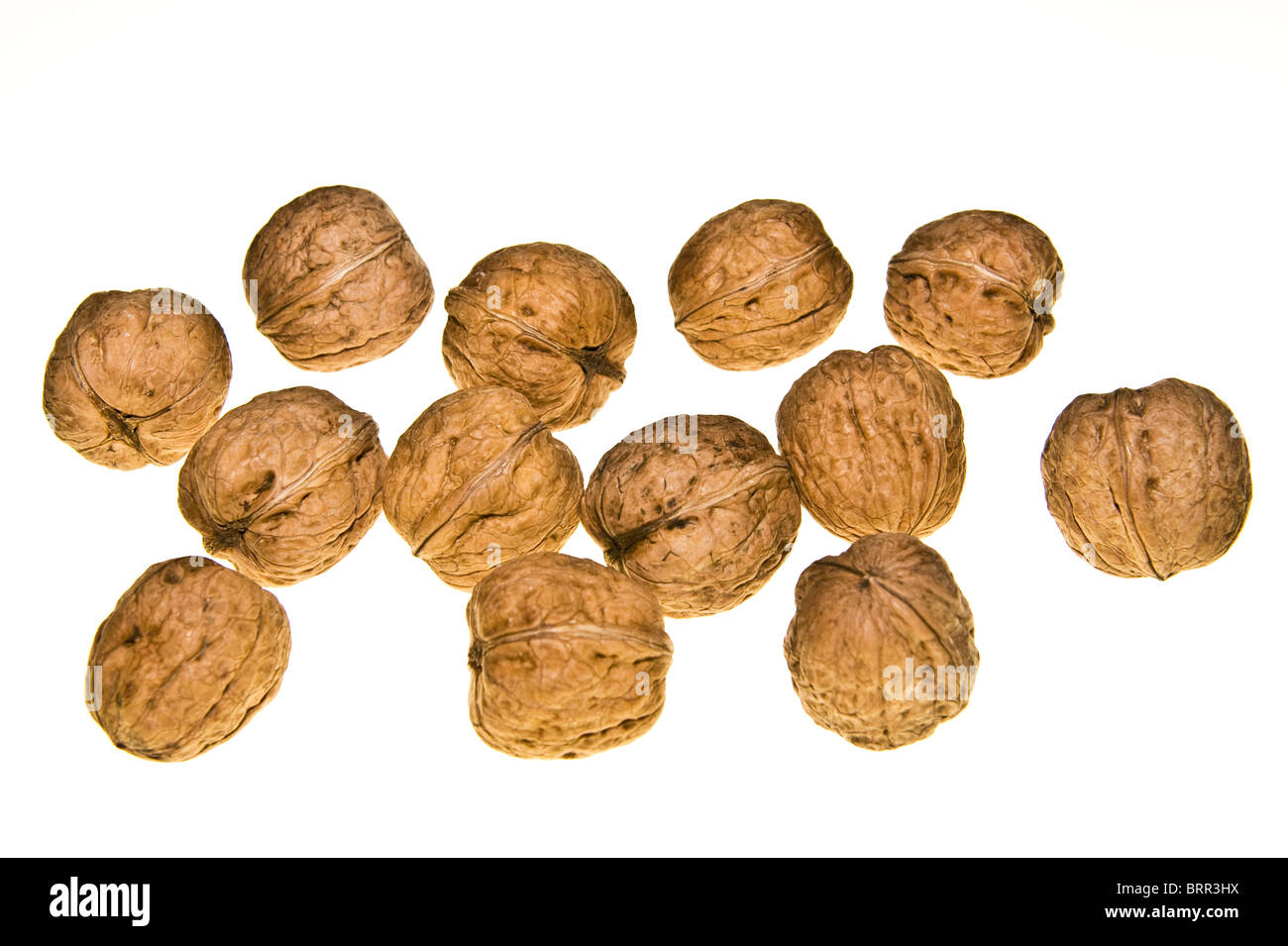 Studio shot of walnuts Stock Photo - Alamy