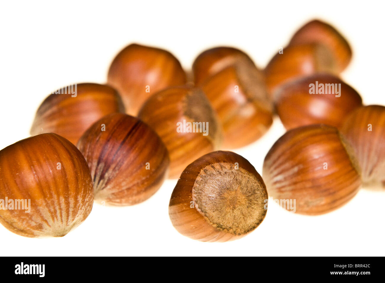 Hazelnuts that are not ripe hi-res stock photography and images - Alamy
