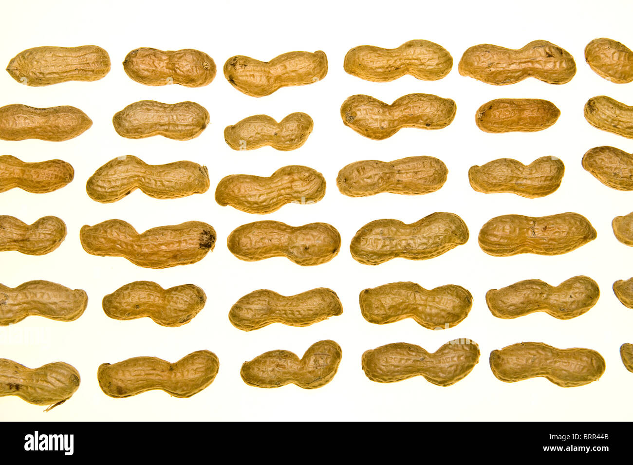 Groundnuts High Resolution Stock Photography and Images - Alamy