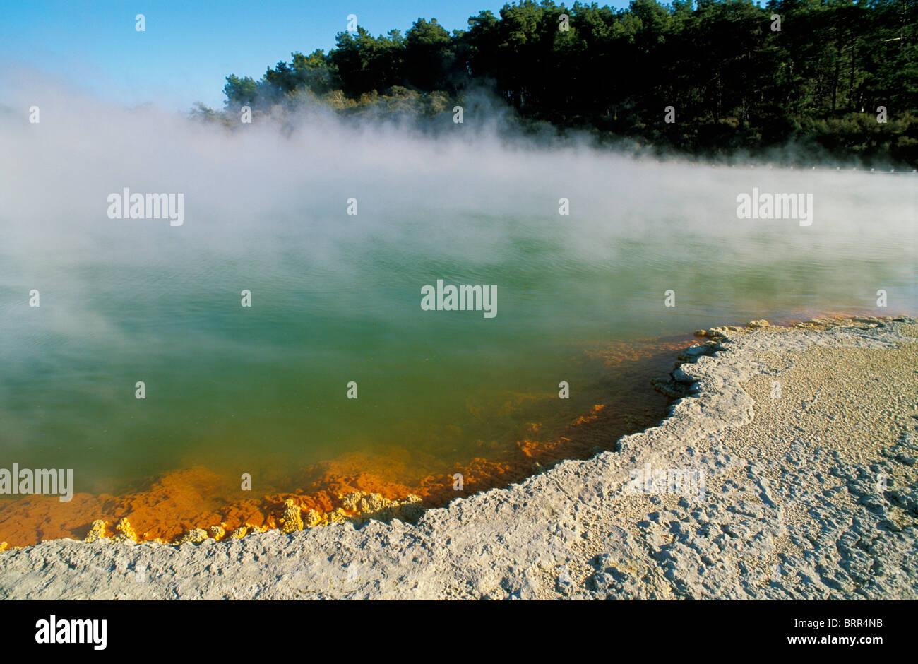 Steam over Rotorua hot spring pool Stock Photo - Alamy