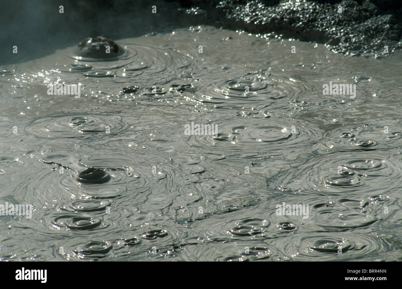 Bubbling mud pools at Rotorua Stock Photo - Alamy