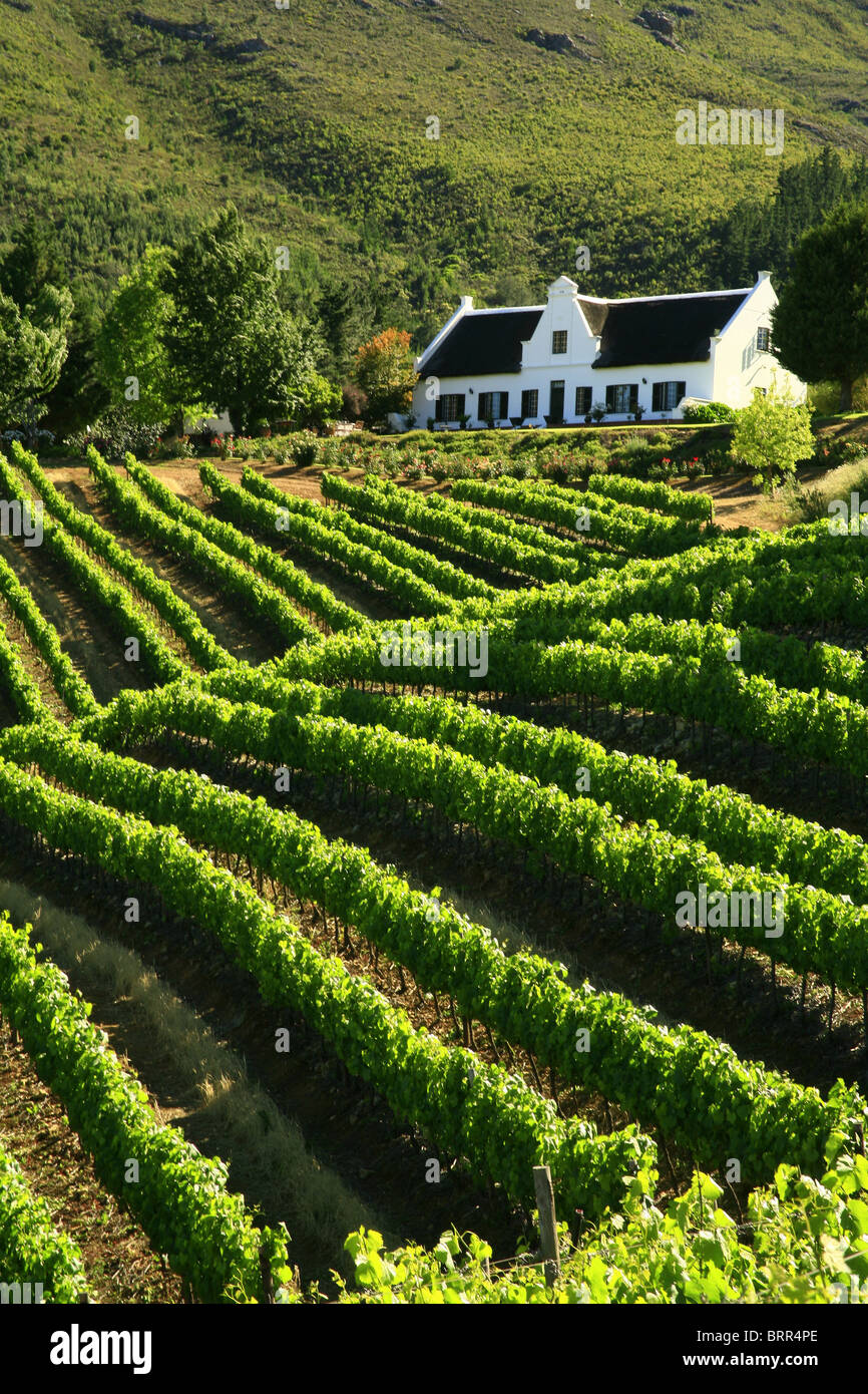 Cape dutch farmhouse hi-res stock photography and images - Alamy