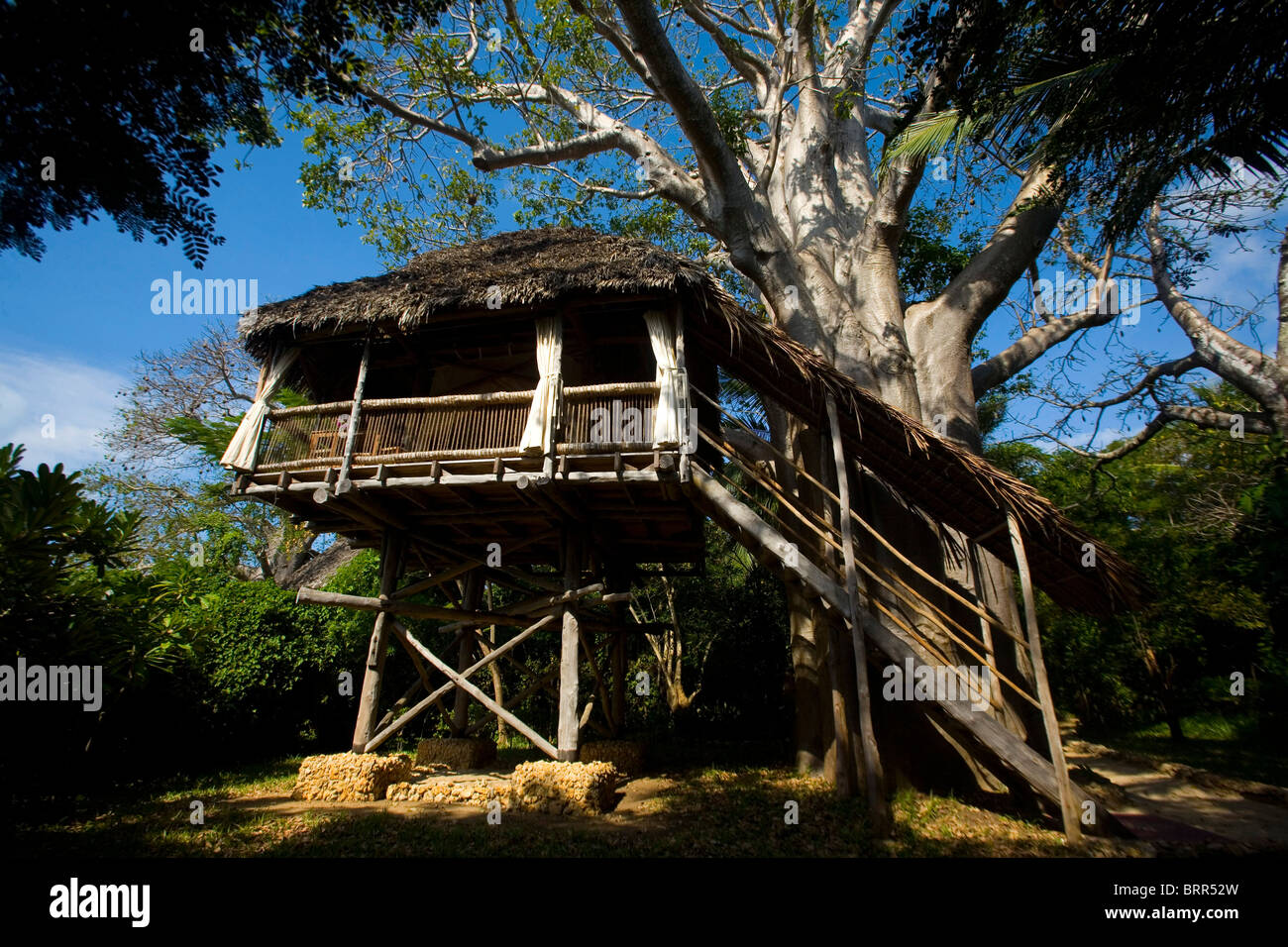 Luxury tree lodge Stock Photo - Alamy
