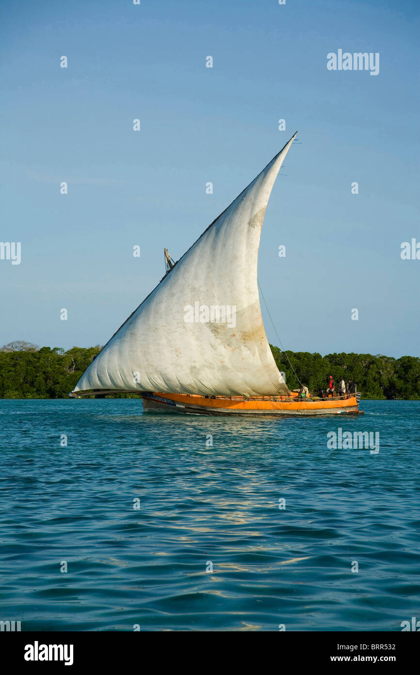 Ancient African Boats