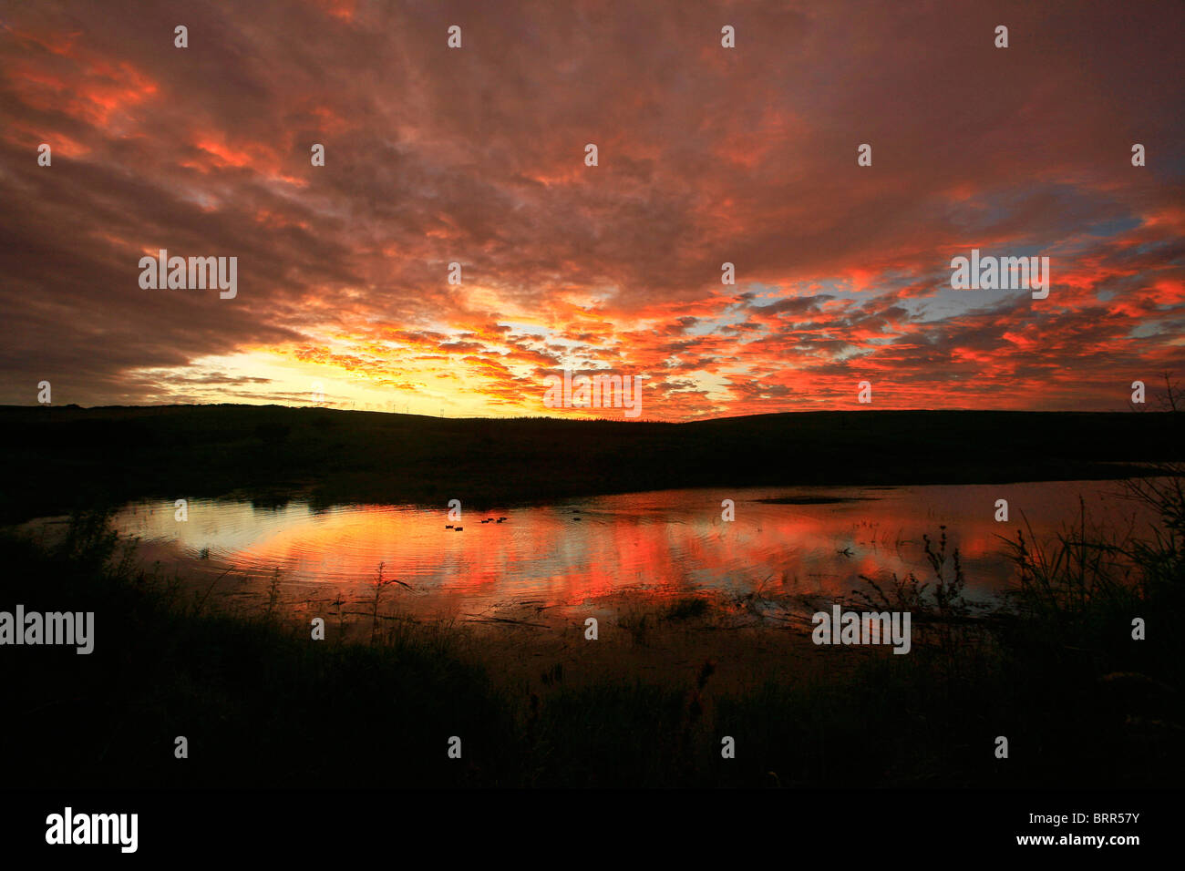 Sunset over dam, Leadwood Lodge Stock Photo - Alamy