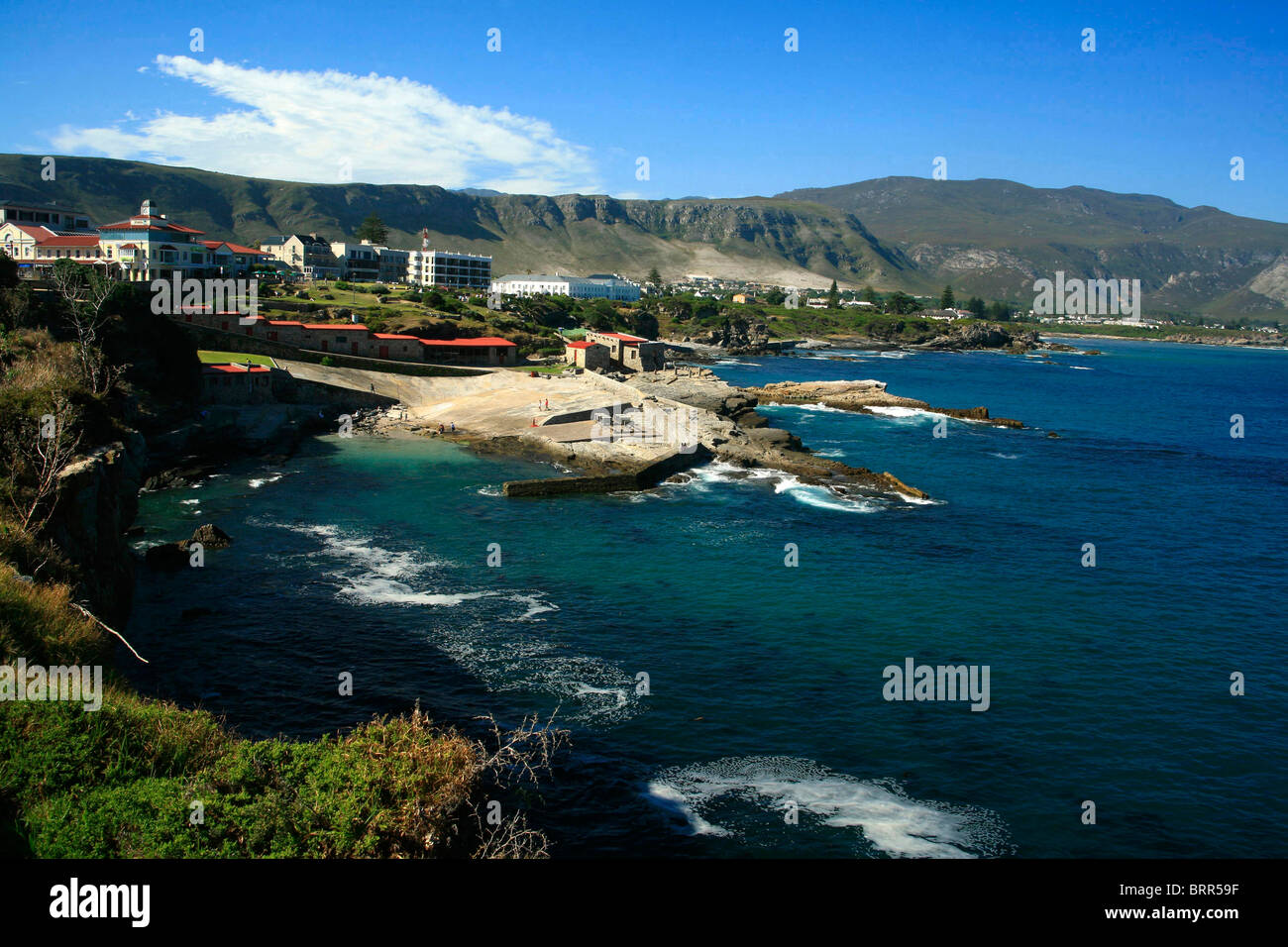 Harbour at Hermanus, the best land-based whale watching spot in the ...