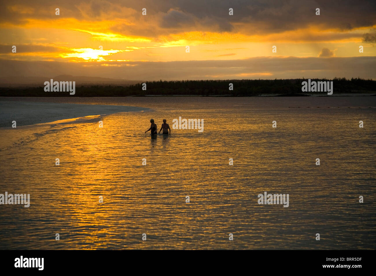 Two swimmers wading out in the ocean at sunset Stock Photo - Alamy